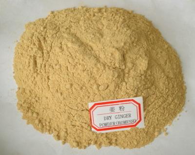 China Ad/ Air Dried/ Dehydrated Ginger Powder for sale