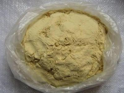 China FDA approved factory Ginger Extract powder 5% for sale