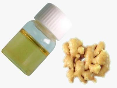 China Best selling products ginger essential oil for sale