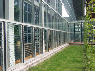 China Clear & Tinted Mistlite Patterned hot selling exterior louver glass for sale