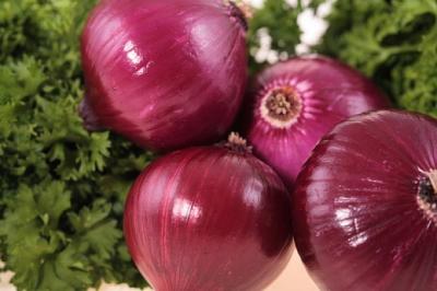 China Fresh types red onions / Chinese Red Onion for sale