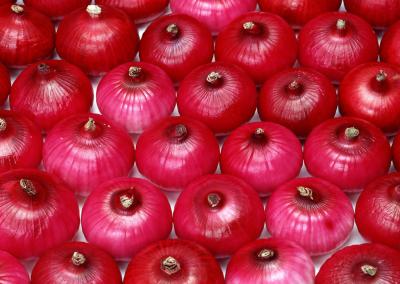 China Chinese Fresh onion for sale