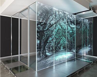 China 3mm toughened glass price density toughened glass separate/partition/divider for room for sale
