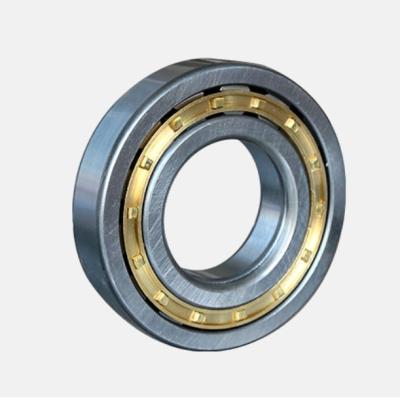 Cina Cuscinetto cilindrico ad alta velocità di serie Gcr15 N206 dei cuscinetti a rulli N205 N220 N200 in vendita