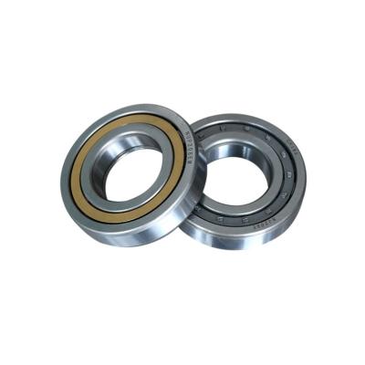 Cina Cuscinetto cilindrico ad alta velocità di serie Gcr15 N206 dei cuscinetti a rulli N205 N220 N200 in vendita