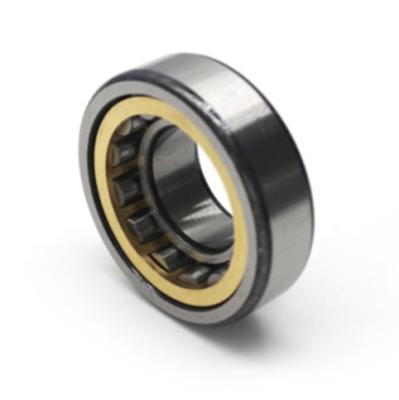 Cina Cuscinetto a rulli conici cilindrico cilindrico di N204 N206 N208 N200Series N205 N220 in vendita