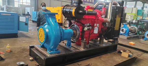 Quality 250kVA Kangmingsi Diesel Generator Set with 200KW Output and Water Cooling for sale