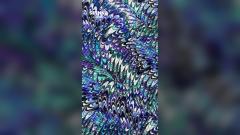 Premium Recycled  Swimwear Fabric Sustainable and Durable