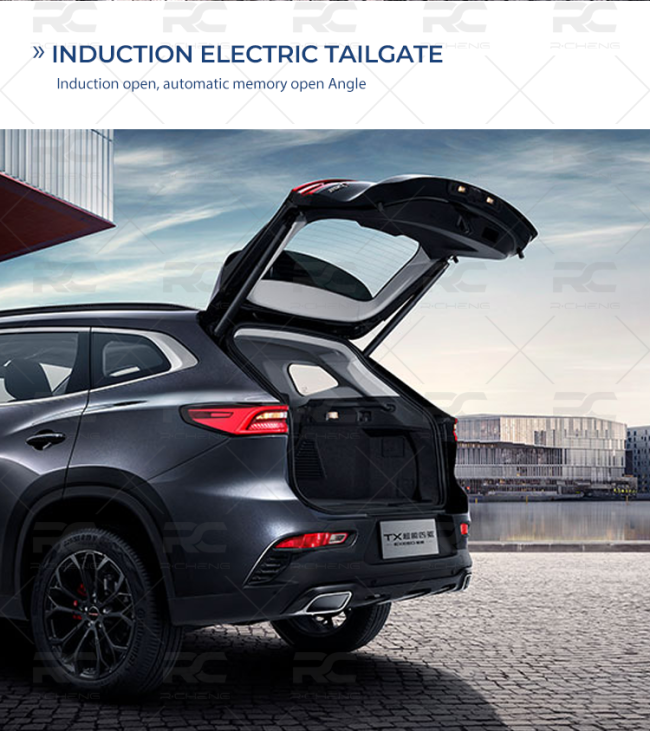 TAILGATE ΕΠΑΓΩΓΗΣ ΗΛΕΚΤΡΙΚΗ ανοικτή γωνία μνήμης nduction ανοικτή, αυτόματη