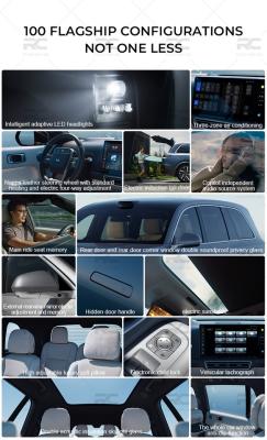 Cina Vendita diretta di fabbrica Li L9 Gran Spazio Auto a 6 posti L9 Auto elettrica Veicoli a nuova energia Long range in vendita