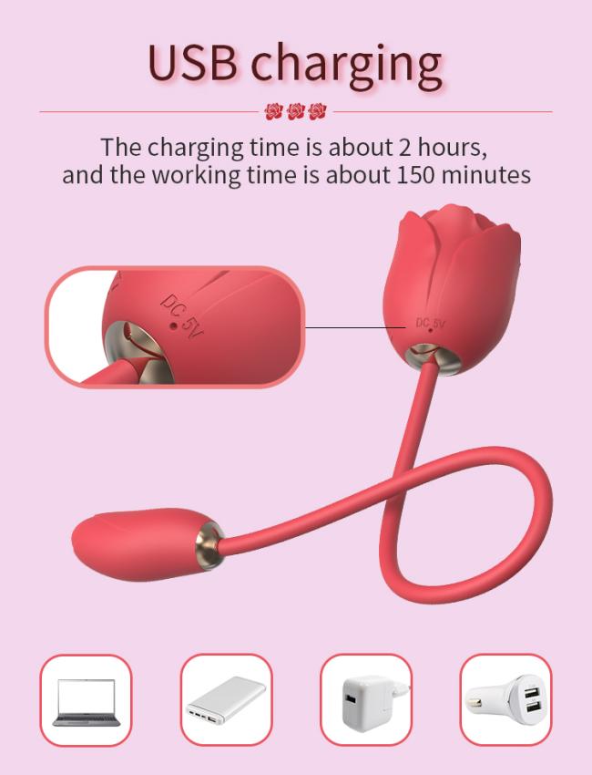 Personal Massager 5 modes of sucking&7 modes of vibration for Women  Wand Massager Rose Toy