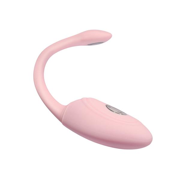 Quality Clitoris Electric Shock Vibrator Remote Control Woman Wearable Vibrator 10 for sale