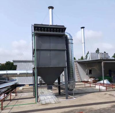 Cina Cartuccia avanzata di filtro per il controllo delle ceneri per la rimozione della polvere di legno nel raccoglitore di polvere di legno in vendita