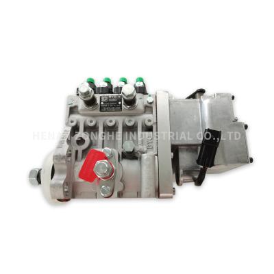 Cina La pompa del carburante elettrica diesel 4BTA3.9 ha personalizzato 4990062 10403714037 in vendita
