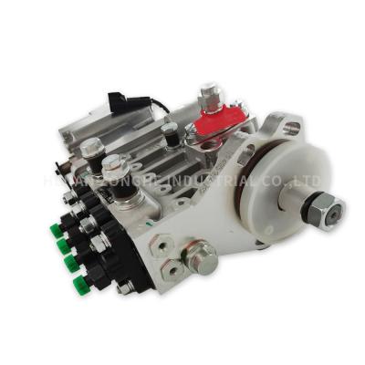 Cina La pompa del carburante elettrica diesel 4BTA3.9 ha personalizzato 4990062 10403714037 in vendita