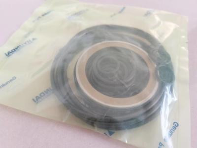 Cina Escavatore idraulico Seal Kit Customized XKAY-00553 R210LC-7 R160LC-7 in vendita