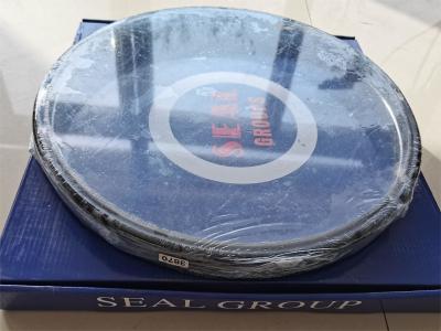 Cina Escavatore nero Sealing O Ring Kit 14579901 ad alta pressione su misura in vendita