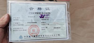 Cina Assy del motore diesel dell'autocarro con cassone ribaltabile di Sinotruk HOWO WD615 Wechai in vendita