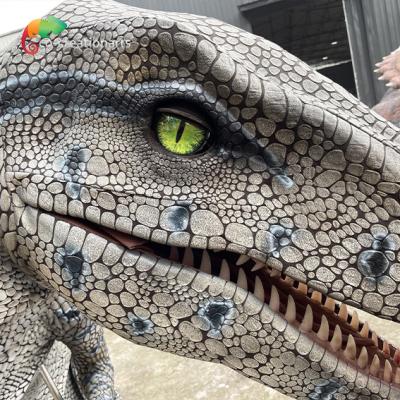China Wearable Velociraptor Animatronic Dinosaur Costume: Lifelike Performance Attraction For Interactive Exhibitions for sale