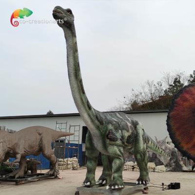 China Theme Park 12M Animatronic Brontosaurus Life Size Animatronic Dinosaur Realistic Model For Jurassic for sale