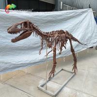 China Personalized customization Dinosaur Bone Replicas T Rex Skull Replica for sale