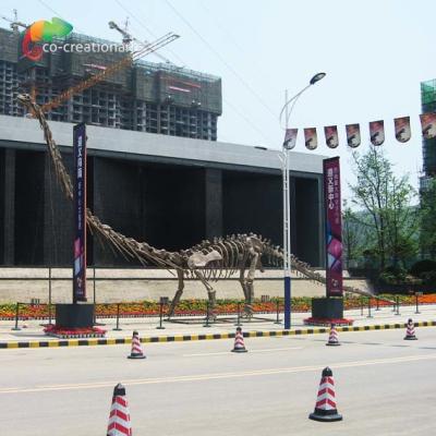 China Lebensgroßes Dinosaurier-Modell Skeleton Mamenchisaurus Skeleton Sunproof 15m zu verkaufen