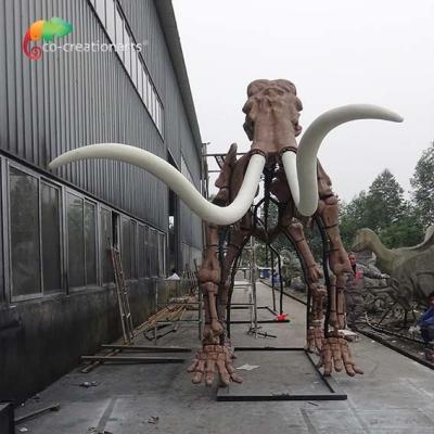 Cina modello animale del Mammuthus degli scheletri della replica reale di dimensione di reistance del tempo in vendita
