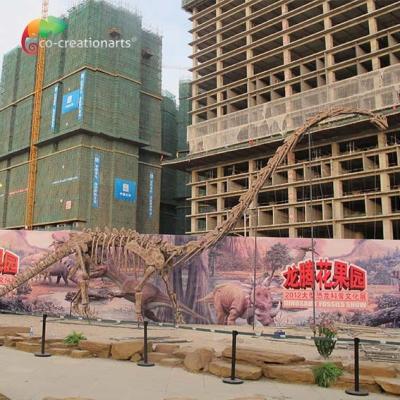 China Lebensgroßes Dinosaurier-Modell Skeleton Mamenchisaurus Skeleton Sunproof 15m zu verkaufen