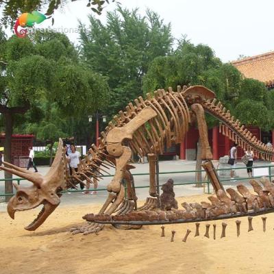 Κίνα Σκελετός Triceratops δεινοσαύρων οδικών διακοσμήσεων προς πώληση