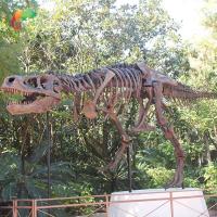 China Weather Resistance T Rex Skeleton Replica for sale