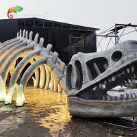 China ISO Animatronic Dinosaur Skeleton Passageway for sale