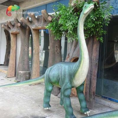 Cina Grande modello all'aperto For Museum del Brachiosaurus del dinosauro di personalizzazione in vendita