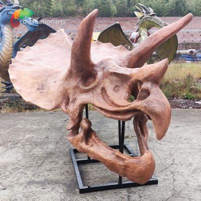 Cina Triceratopo giurassico Sunproof di scheletro capo della replica del mondo per il museo in vendita