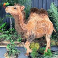 China Artificial Realistic Animatronic Animals Customized Size Camel Controlled Remotely for sale