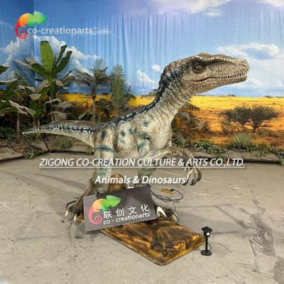 Chine Vélociraptor animatronique réaliste : Exposition dynamique de qualité muséale avec mouvements réalistes et peau détaillée pour une éducation immersive à vendre