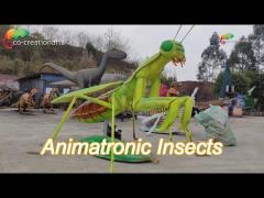equipamento Animatronic do campo de jogos da louva-a-deus de 6M Simulation Animatronic Insects