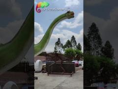 Coin Operated Simulation Life Size Animatronic Dinosaurs 12m Brachiosaurus Models