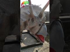 7M Dino Animatronic Realistic Tricratops Large Outdoor Dinosaur with Tail move
