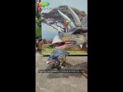 realistic animatronic triceratops trio: roaring group with dynamic motion & prehistoric display