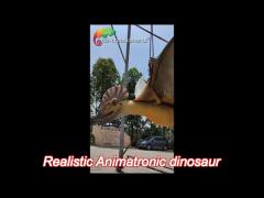 outdoor exhibition life size animatronic dinosaurs pterosaur waterproofing