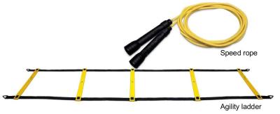 China Football Ladder-Speed Agility Ladder & Speed Rope, item# ALJR01 for sale