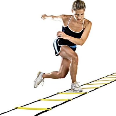 China Fitness,GYM equipment,Speed Agility Footwork Training Drill Ladder , item# AL01 for sale