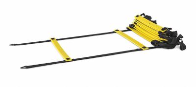 China Effective Use/Agility Ladder For Soccer, item# AL01 for sale