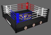 China OEM ODM Boxing MMA Equipment Elevated Underground Boxing Ring for sale