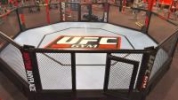 China Hexagon Professional Round MMA Cage for sale
