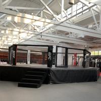 China Competitive MMA Fighting Cage for sale