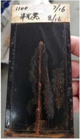 Salt spray test 30 days failed