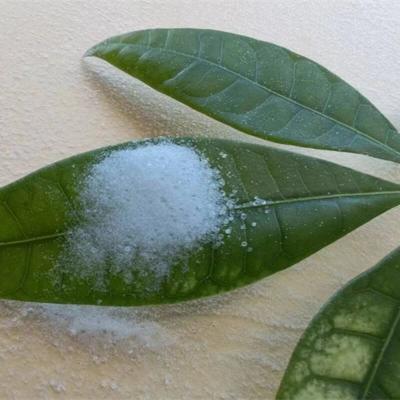 China Long Lasting Solvent Based Solid Acrylic Resin For Screen Printing Ink In Glass Products for sale