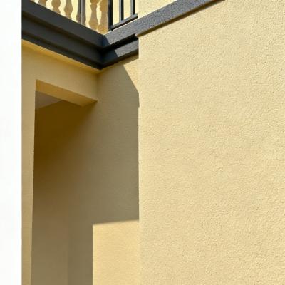 Китай Катионная парафиновая восковая эмульсия для покрытий наружных стен WQ-W5113 продается