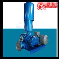 Quality Industrial Grade 50Hz Cast Iron Roots Vacuum Pump For Air / Gas Evacuation for sale